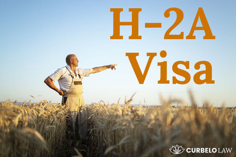 H 2A Visa Program Benefits In 2024 And How To Obtain It Curbelo Law